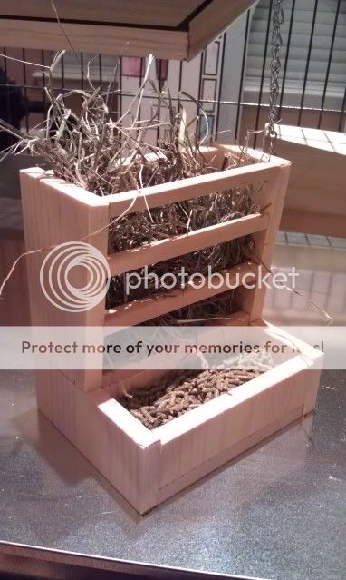 Ferret Nation cage, "The Beast" | Chinchilla & Hedgehog Pet Forum