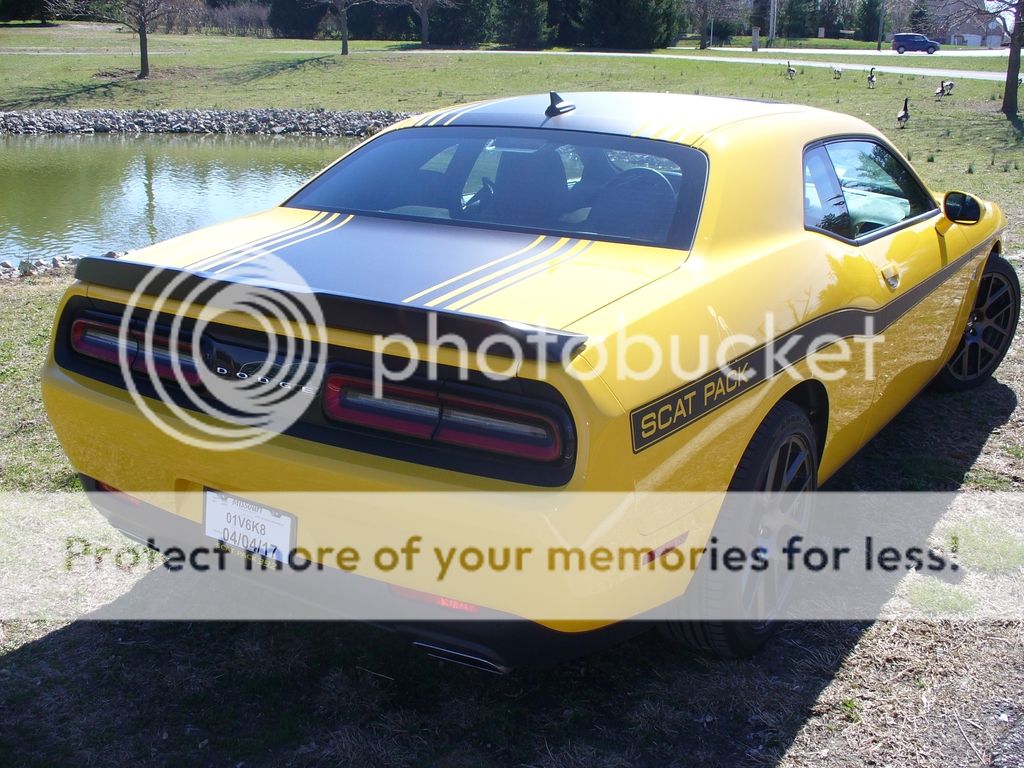 Yellow Jacket paint; from Dodge | Page 6 | Dodge Challenger Forum